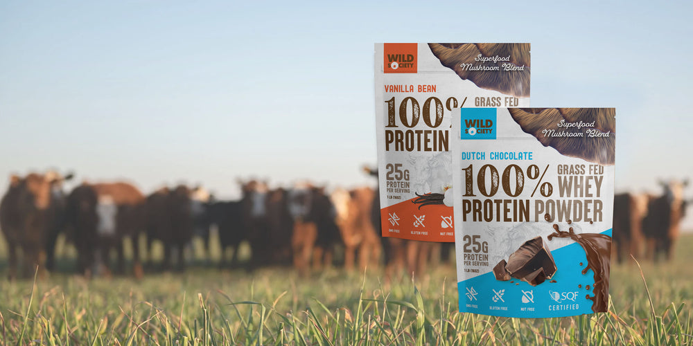 Wild Society Nutrition | PREMIUM WHEY PROTEIN